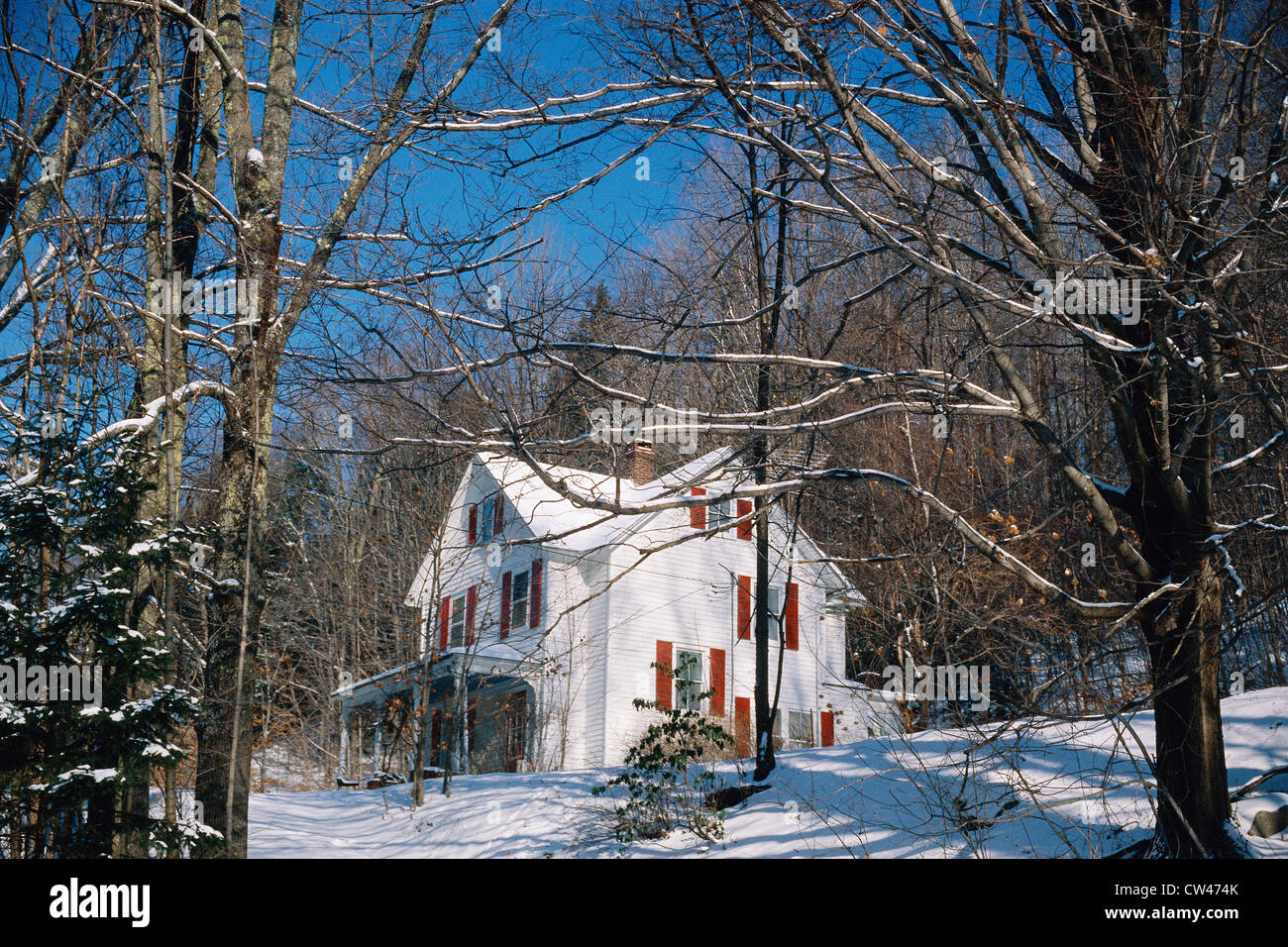 House in snowy woods, Vermont Stock Photo - Alamy