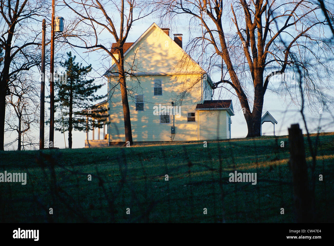 House with trees in St. Louis, MO Stock Photo - Alamy