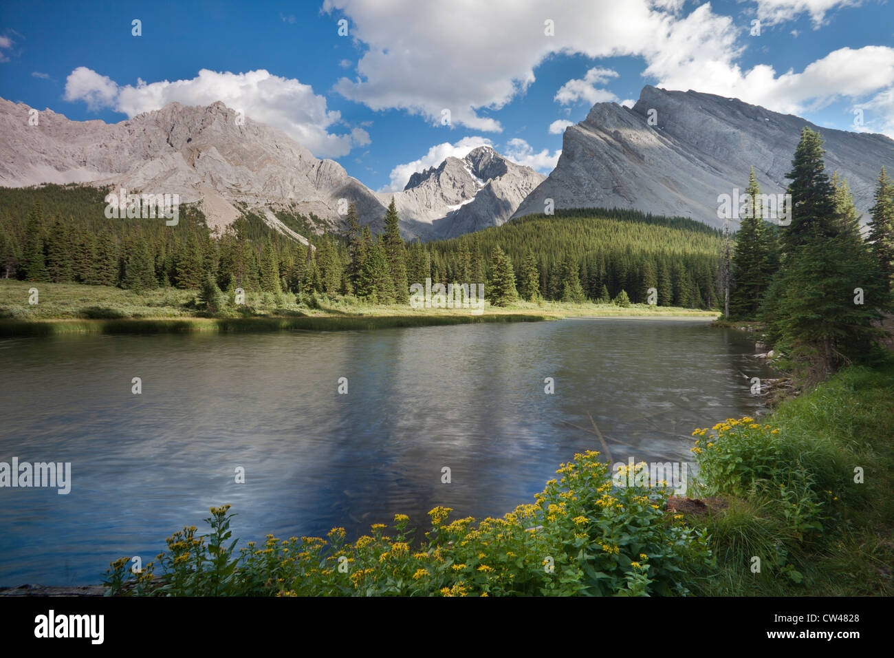 Canada, Peter Lougheed Provincial Park, Elbow Lake Trail, Elbow Lake ...