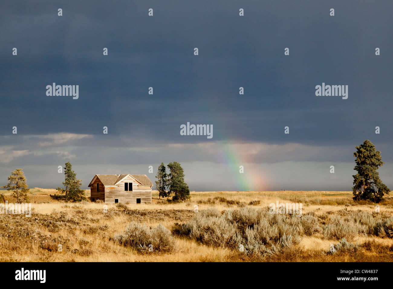 Rainbow usa hi-res stock photography and images - Alamy