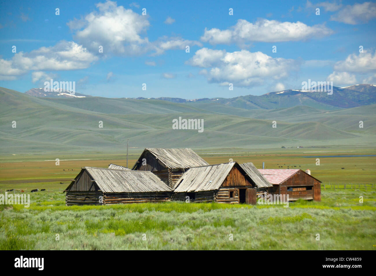 Deserted ranch in Centennial Valley, Lakeview, MT Stock Photo - Alamy