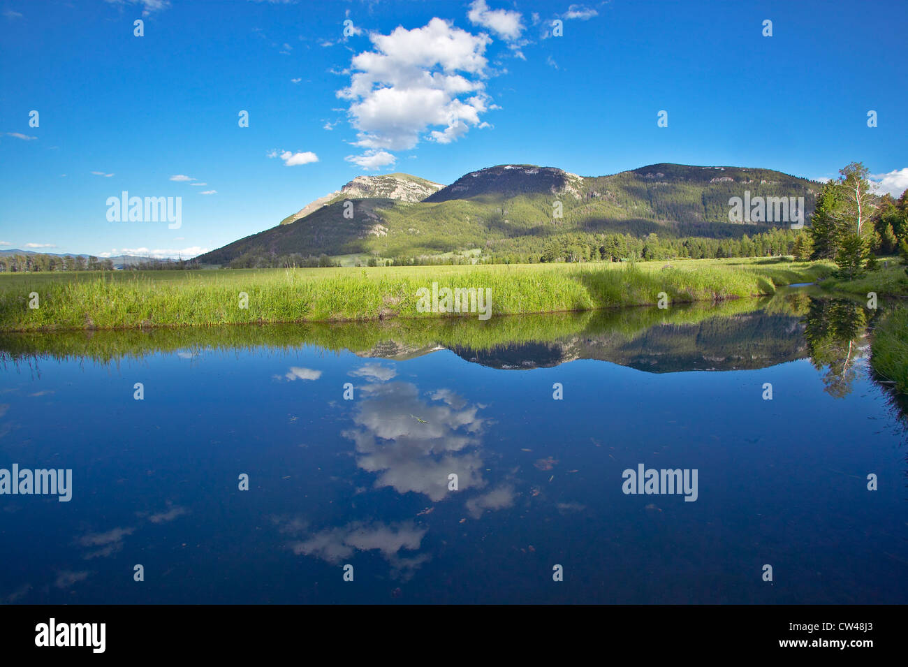 Reflections in pond of western mountains in Centennial Valley near ...