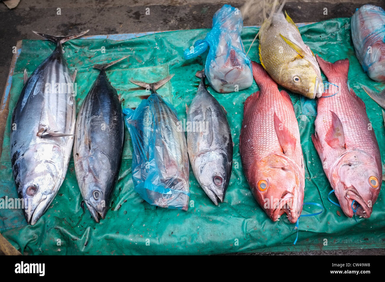 Fiji fish market hi-res stock photography and images - Alamy