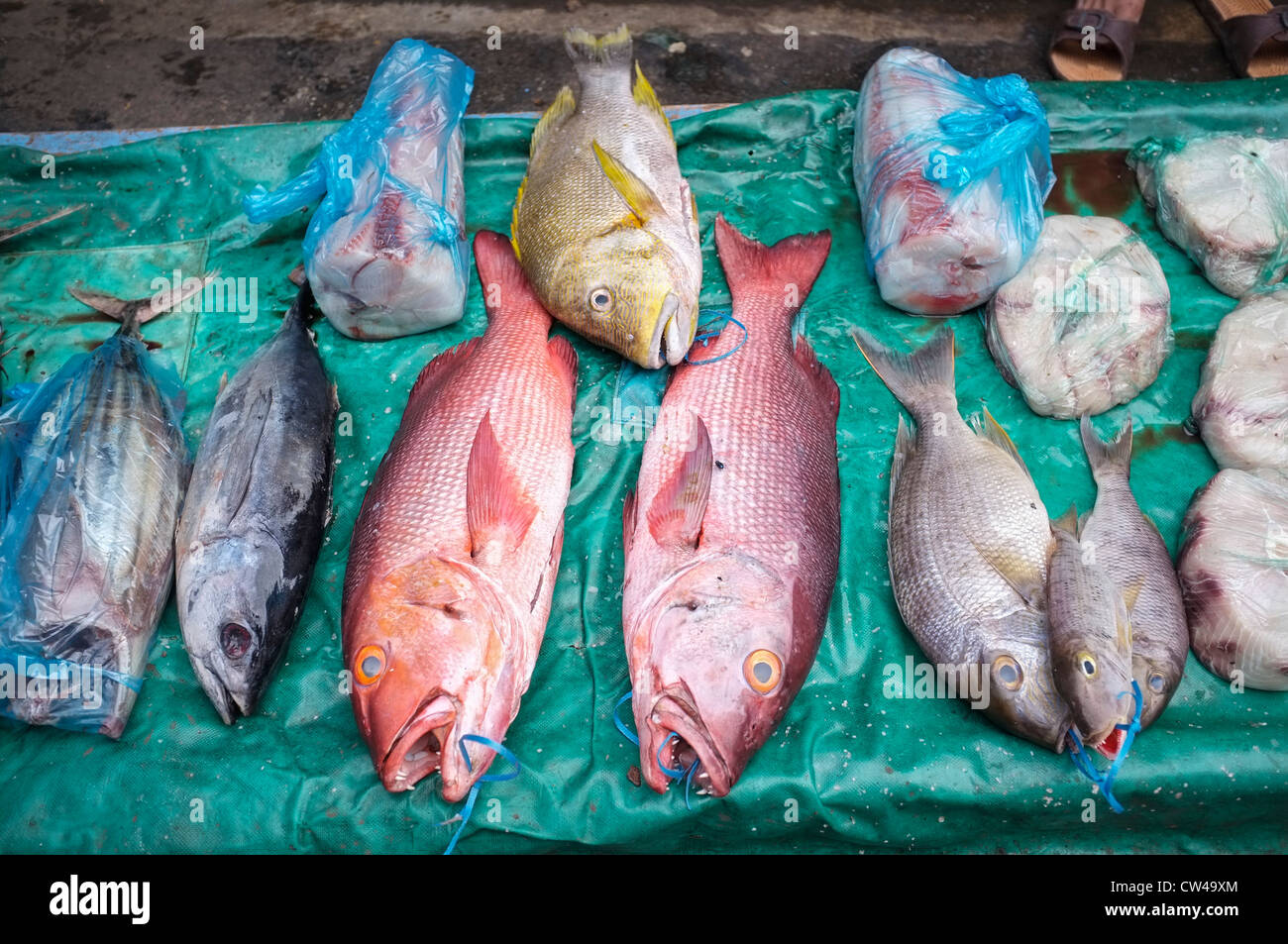 Fresh Fish on a Street Market Stall in Suva Fiji Stock Photo - Alamy