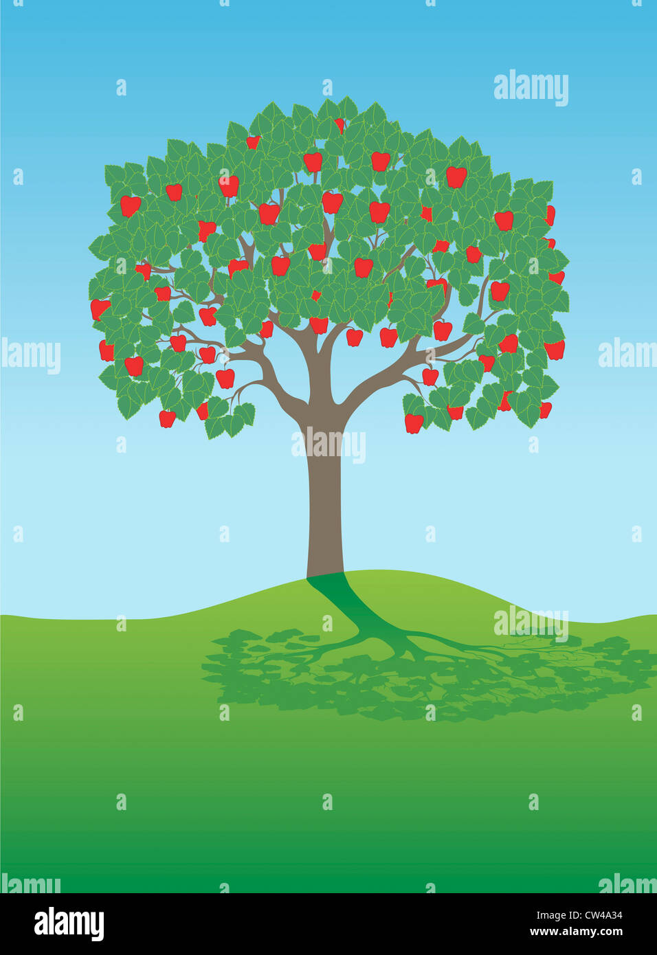 Apple Tree, illustration Stock Photo - Alamy