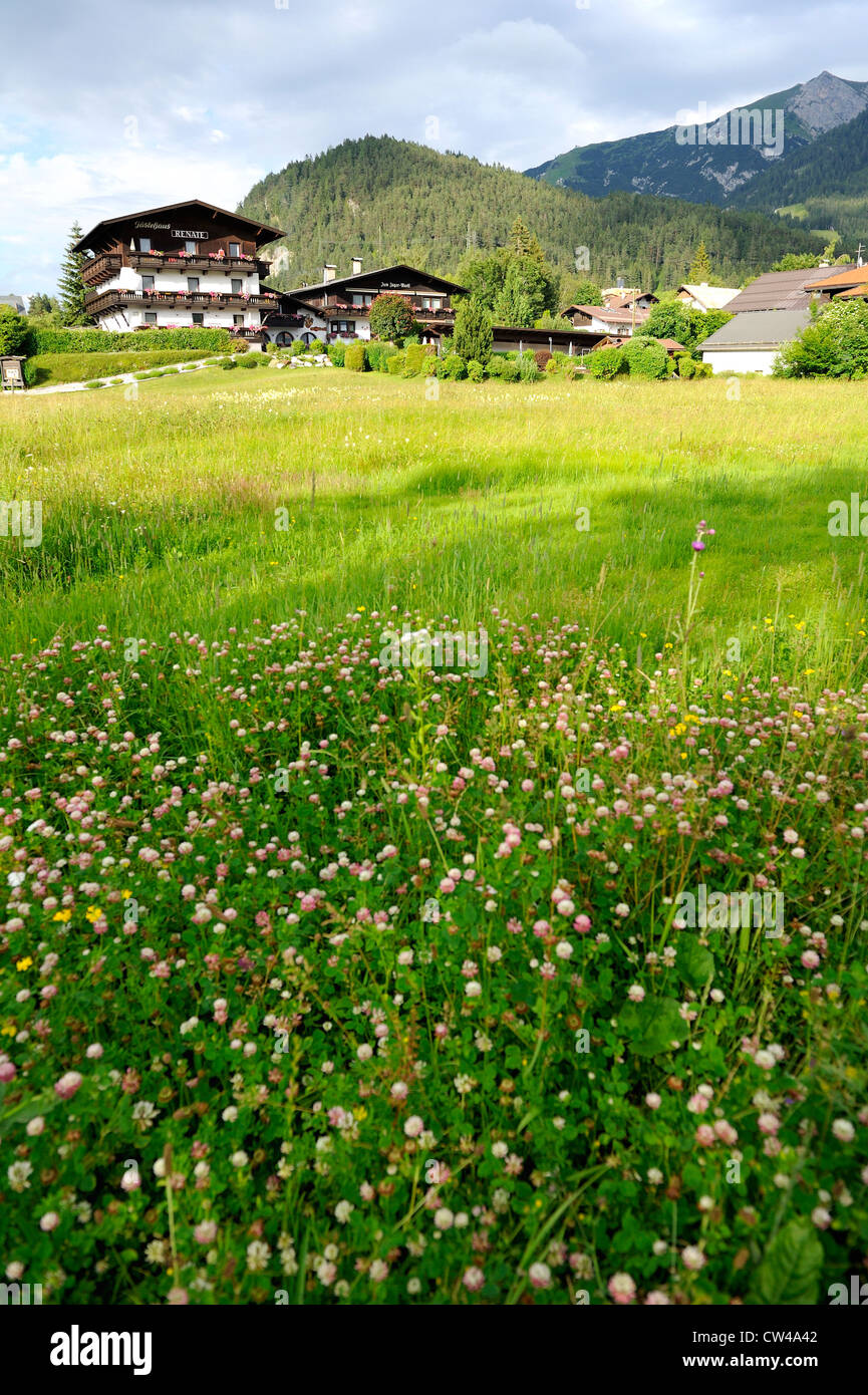Traditional built Austrian holiday homes and hotels set in meadows and ...
