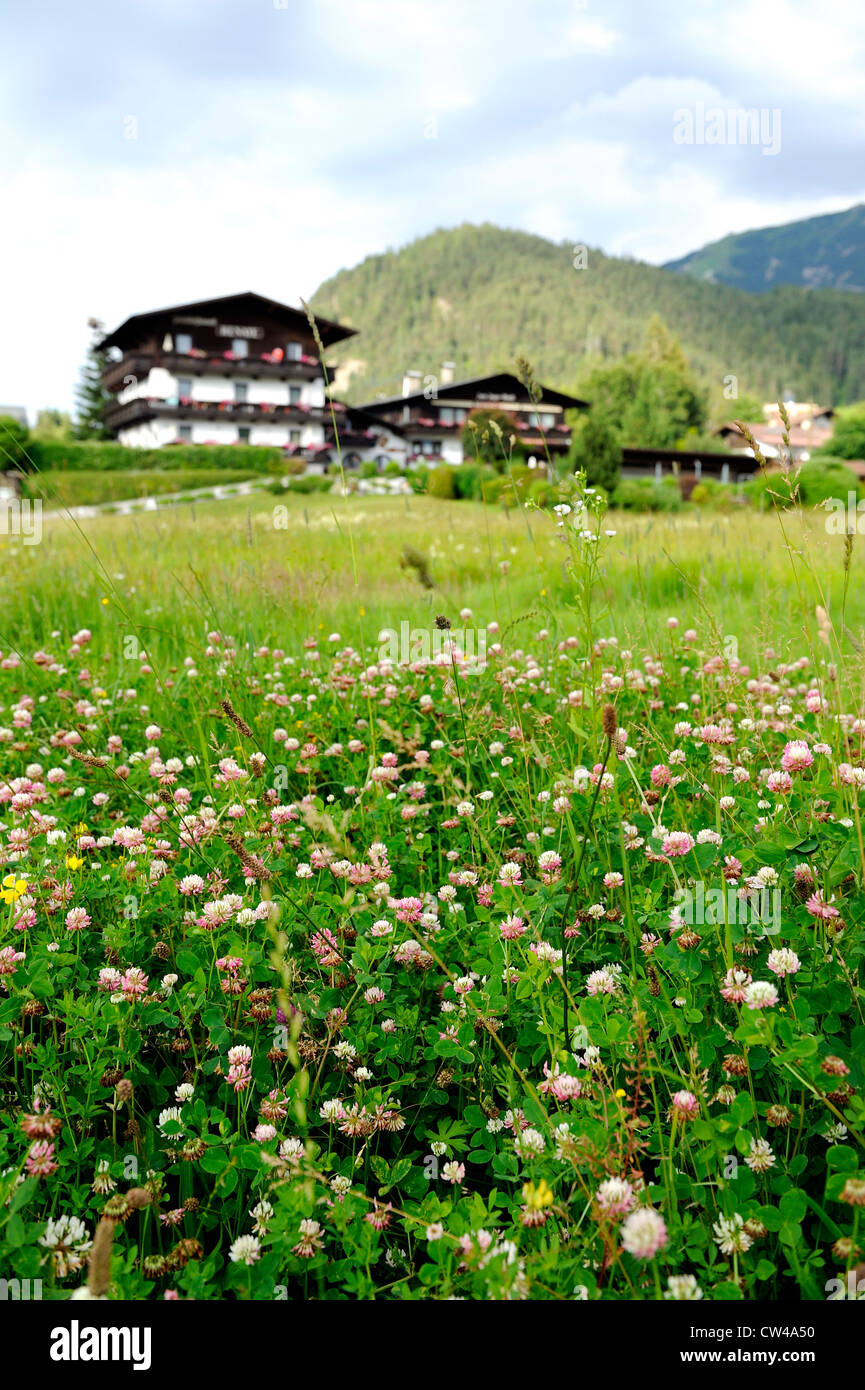 Traditional built Austrian holiday homes and hotels set in meadows and ...