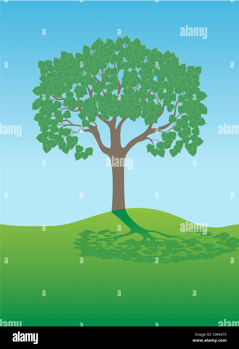 Summer Tree, illustration Stock Photo - Alamy