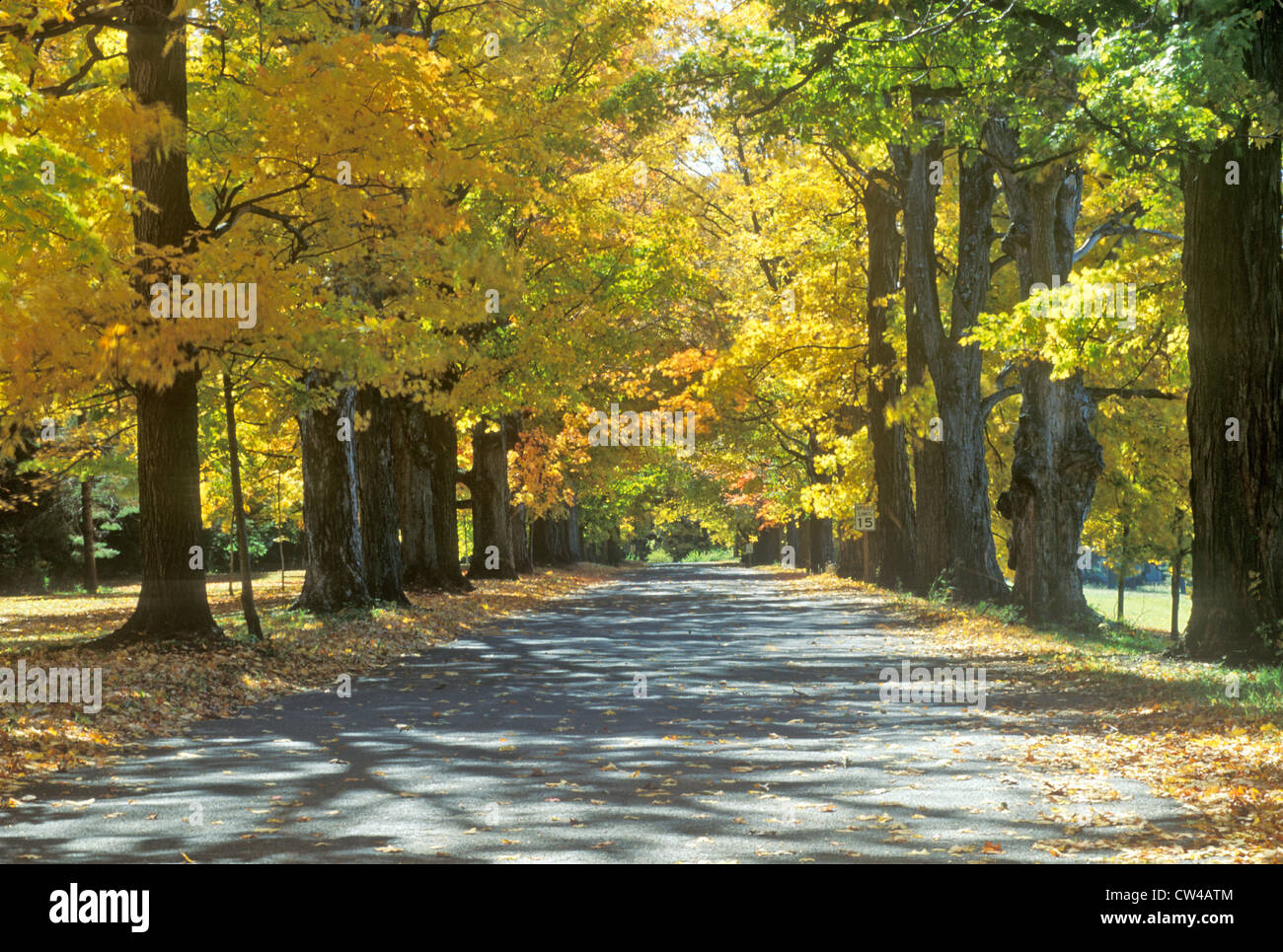 Manor road hi-res stock photography and images - Alamy