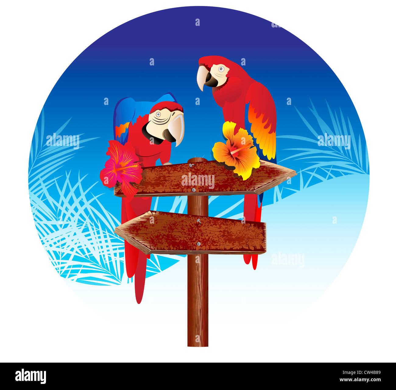 two parrots on The signs Illustrations Stock Photo - Alamy