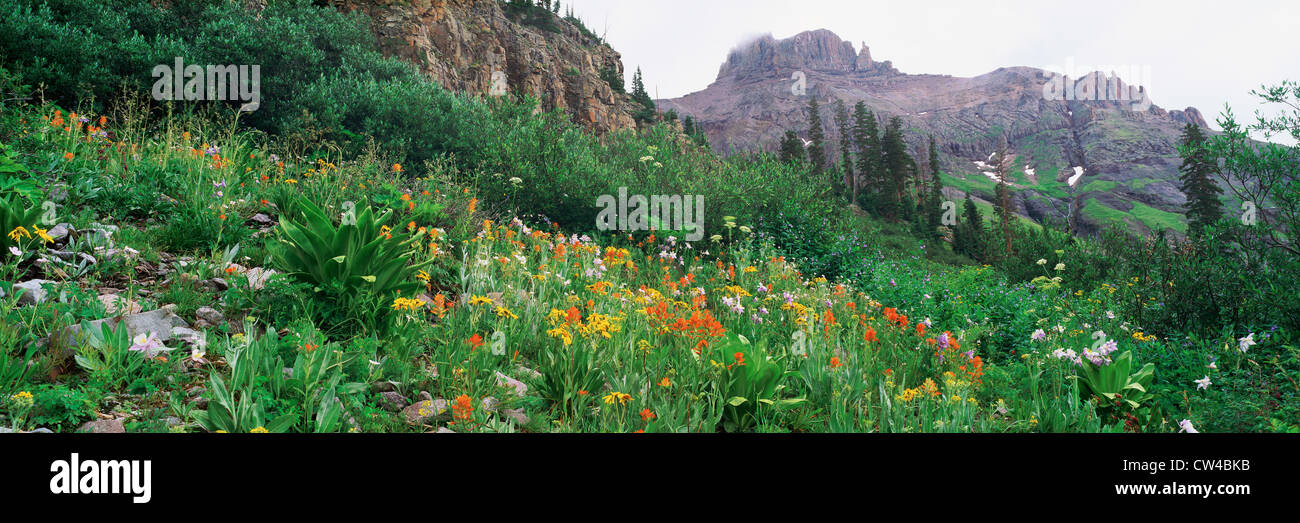 Yankee boy basin hi-res stock photography and images - Alamy