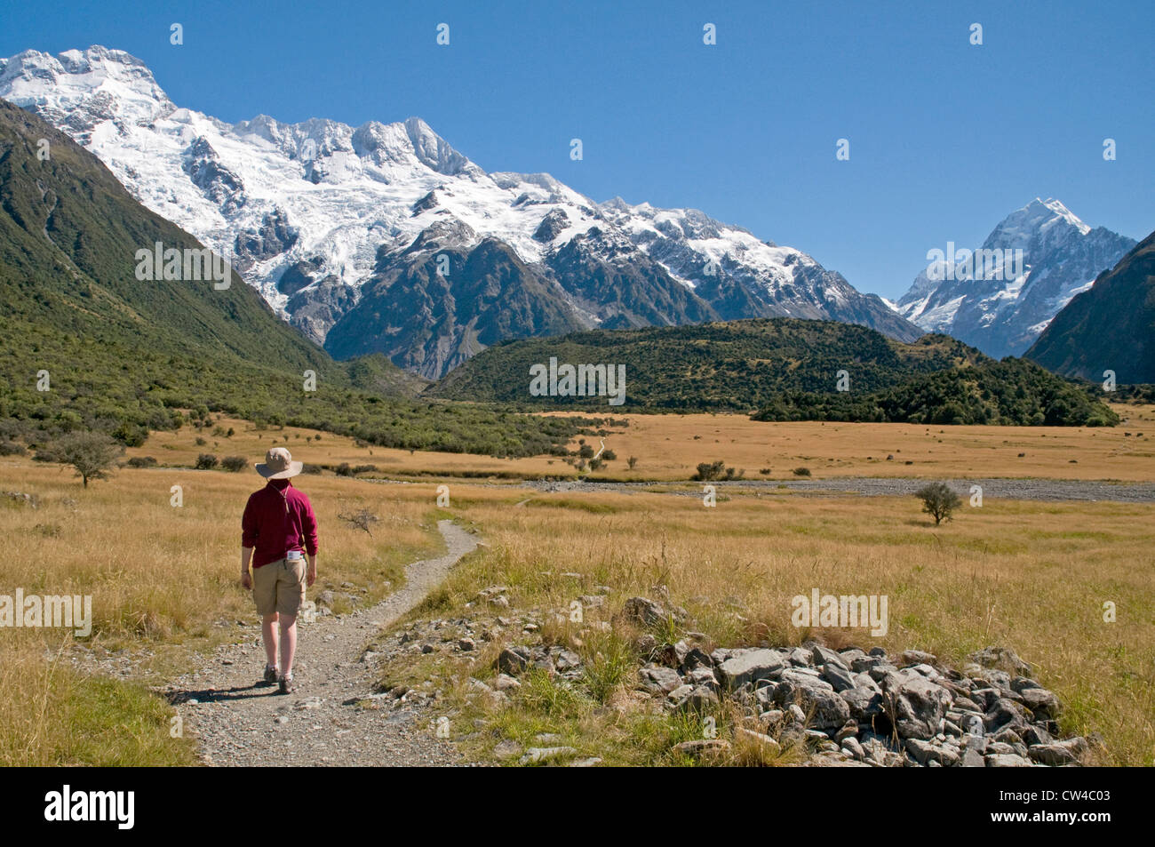 On the Kea Point track near Mt Cook village, looking north and ...
