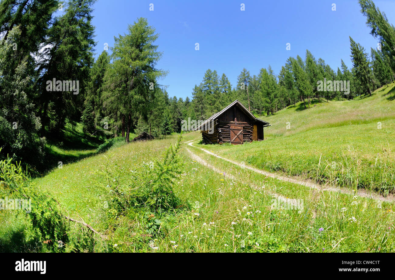 Traditional Austrian wooden storage barn or building set amongst wild ...