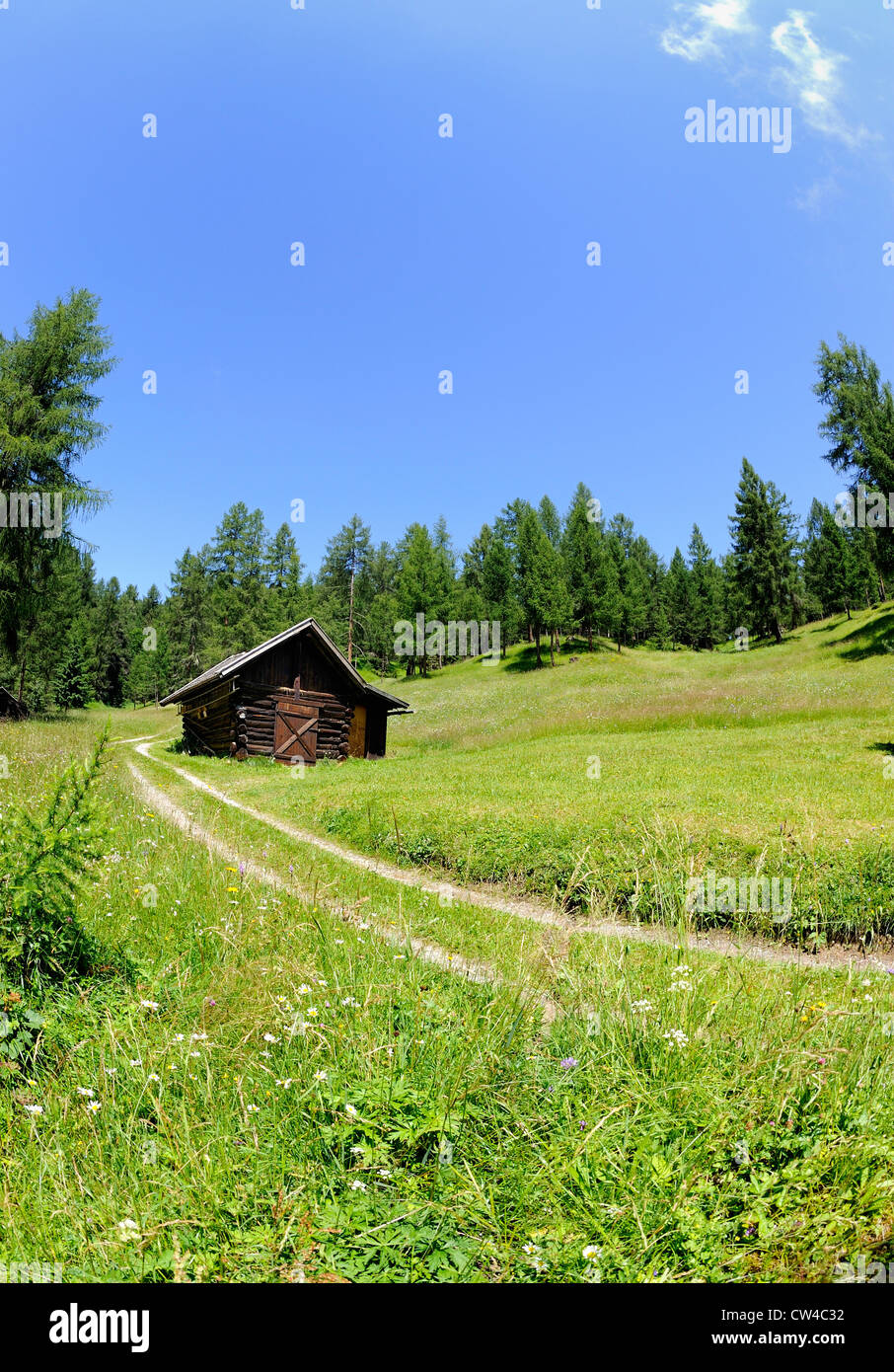 Traditional Austrian wooden storage barn or building set amongst wild ...