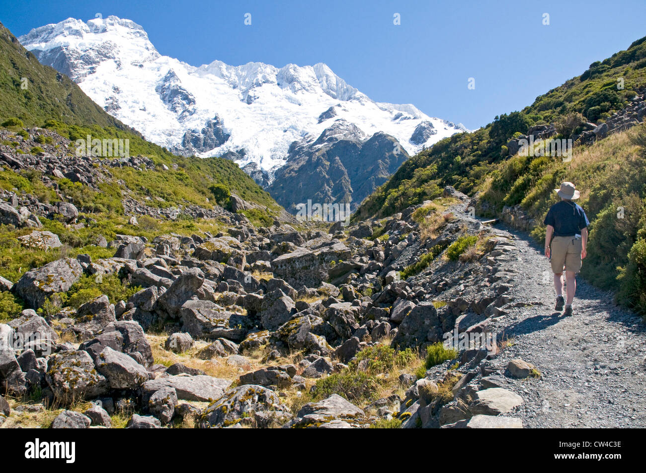 Kea point track hi-res stock photography and images - Alamy
