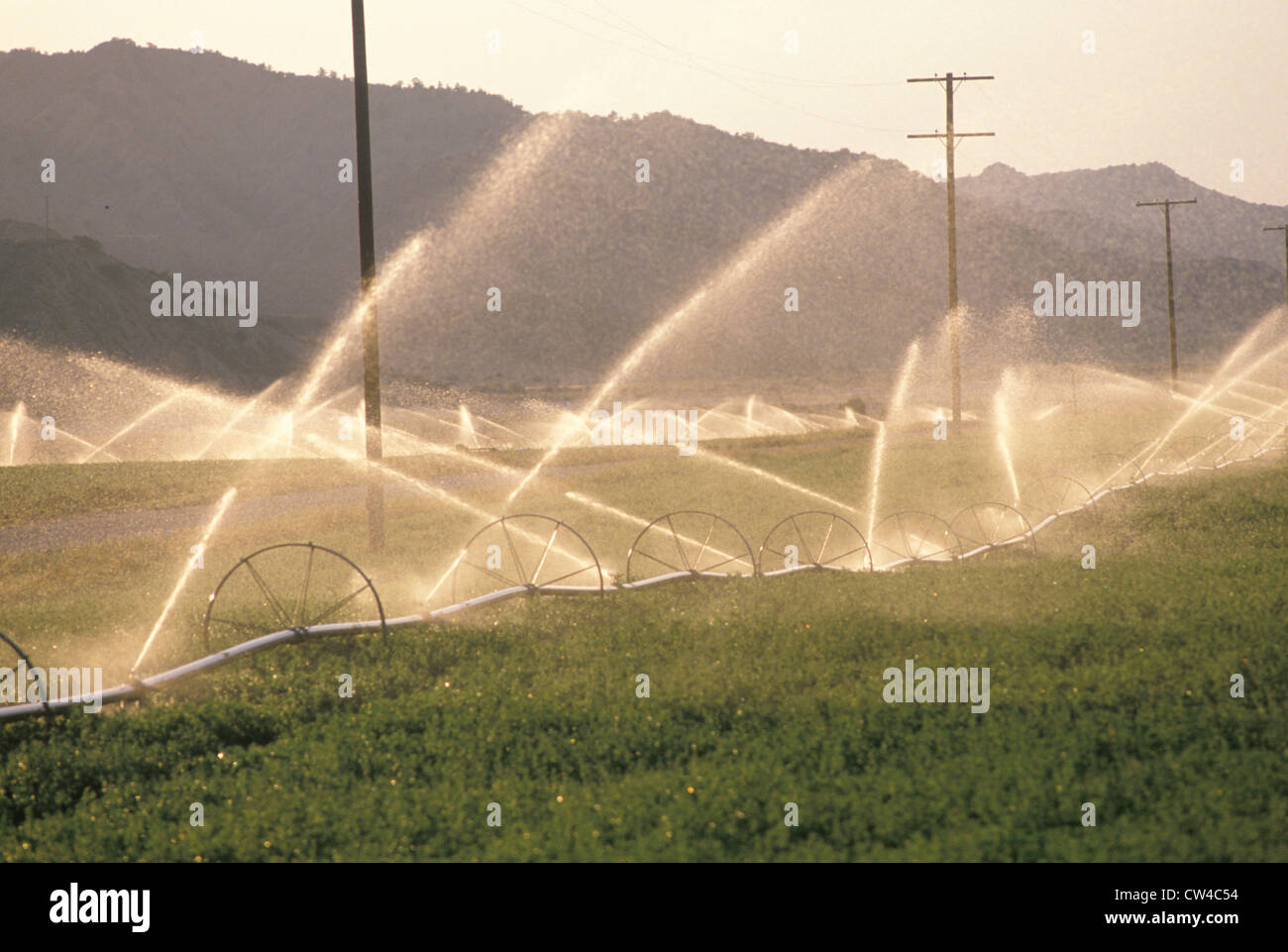 Irrigation system in the San Joaquin Valley, CA Stock Photo - Alamy