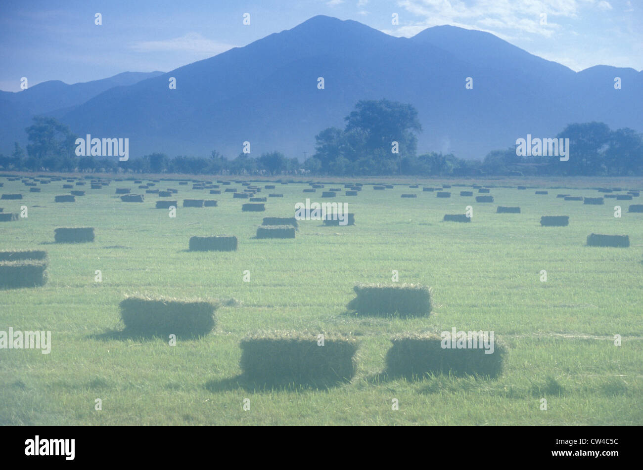 Haystacks in NM Stock Photo - Alamy