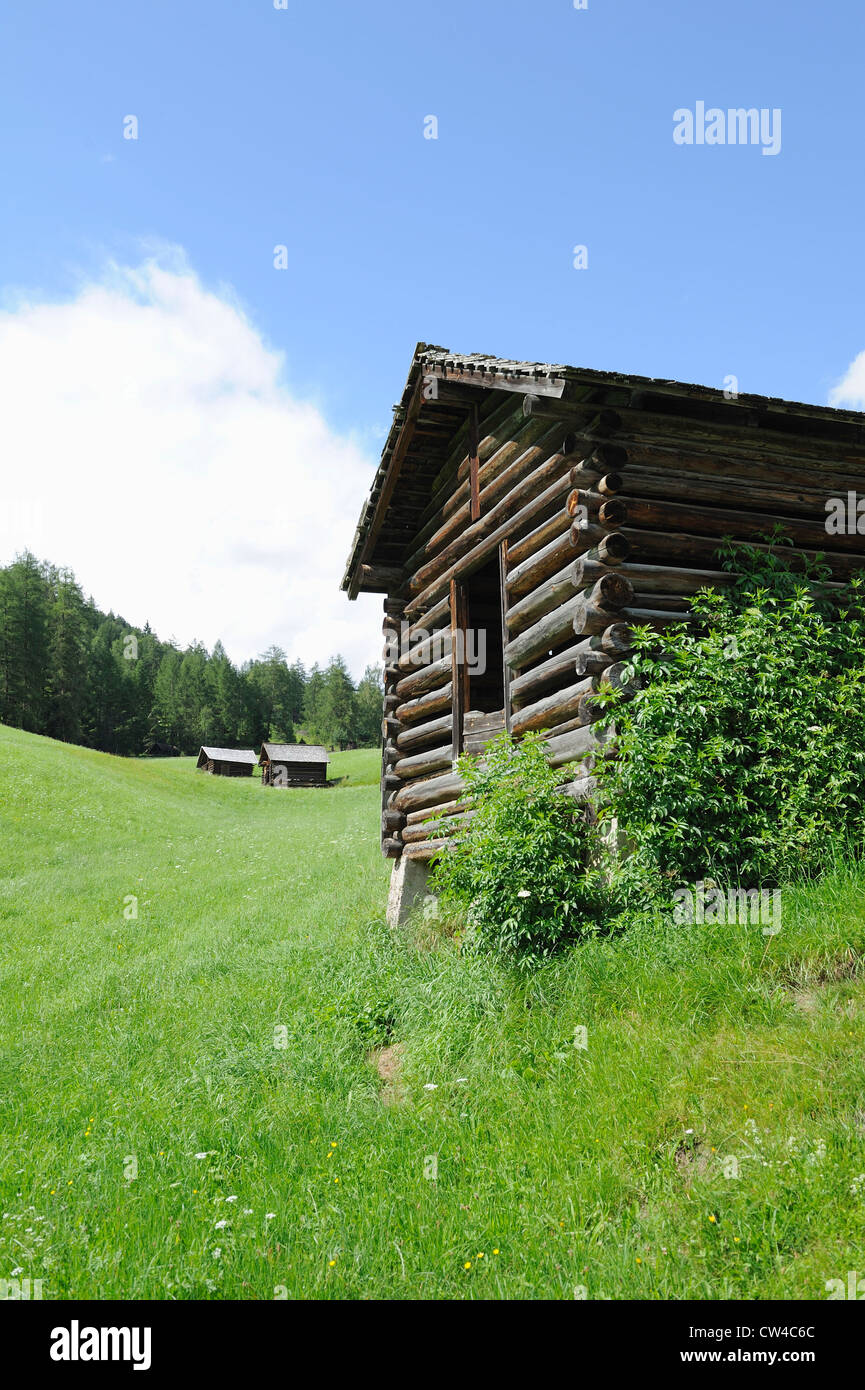 Traditional Austrian wood storage hut or building set on the side of a ...