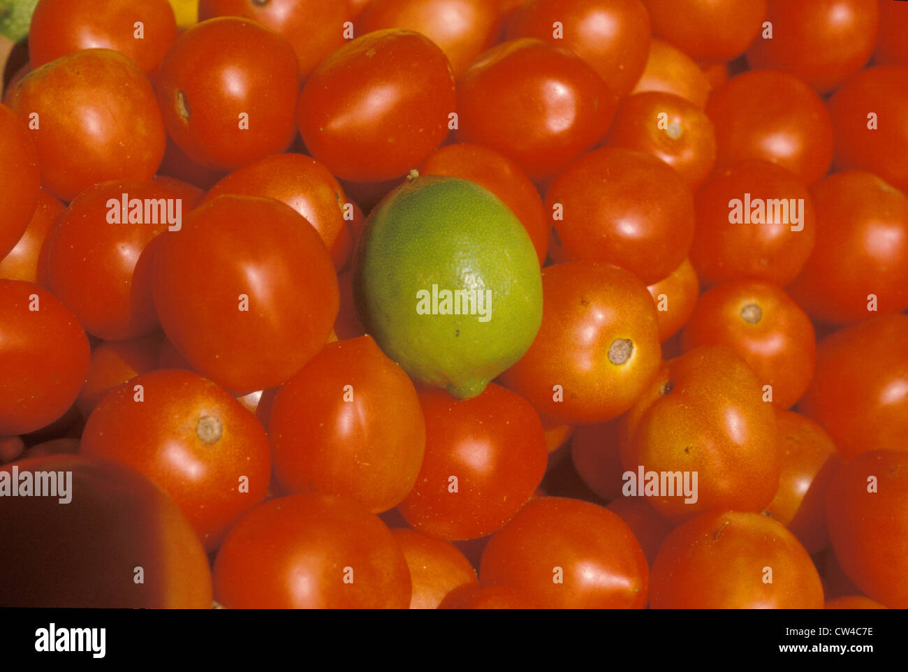 Lime green red hi-res stock photography and images - Alamy