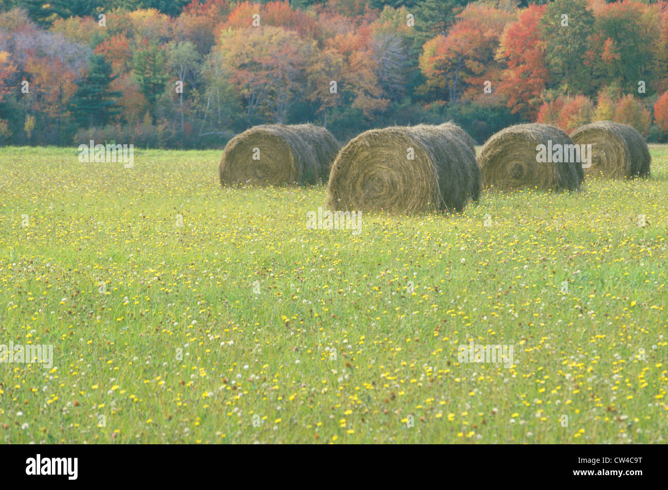 Autumn haystacks hi-res stock photography and images - Alamy