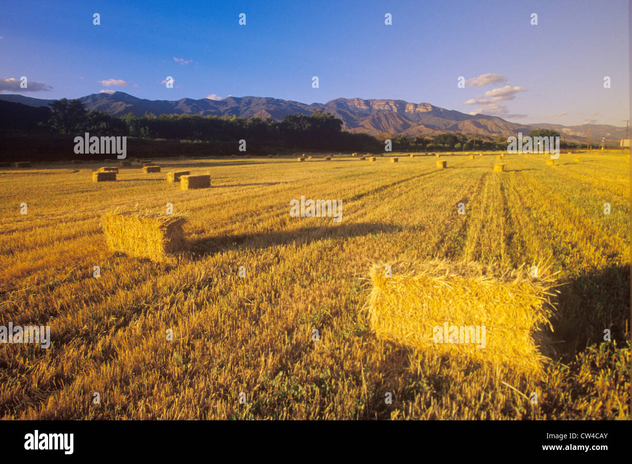 Topa topa mountains hi-res stock photography and images - Alamy