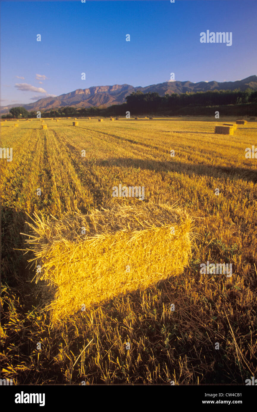 Topa topa mountains hi-res stock photography and images - Alamy