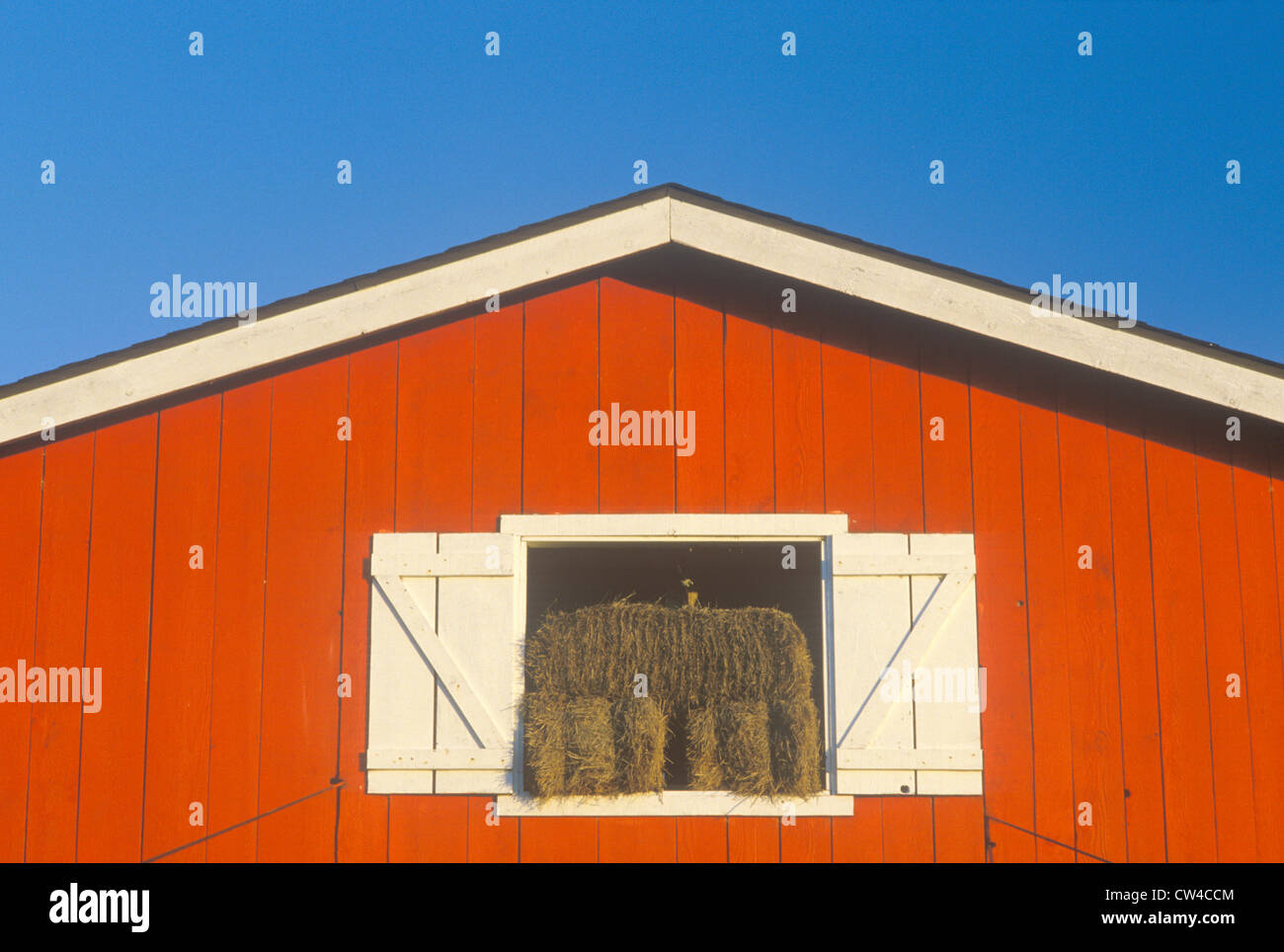 The top of a red barn in central FL Stock Photo - Alamy