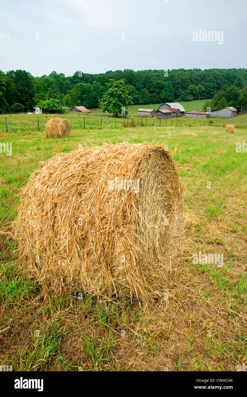 A circular haystack and farm on Blue Ridge Highway in North Carolina ...