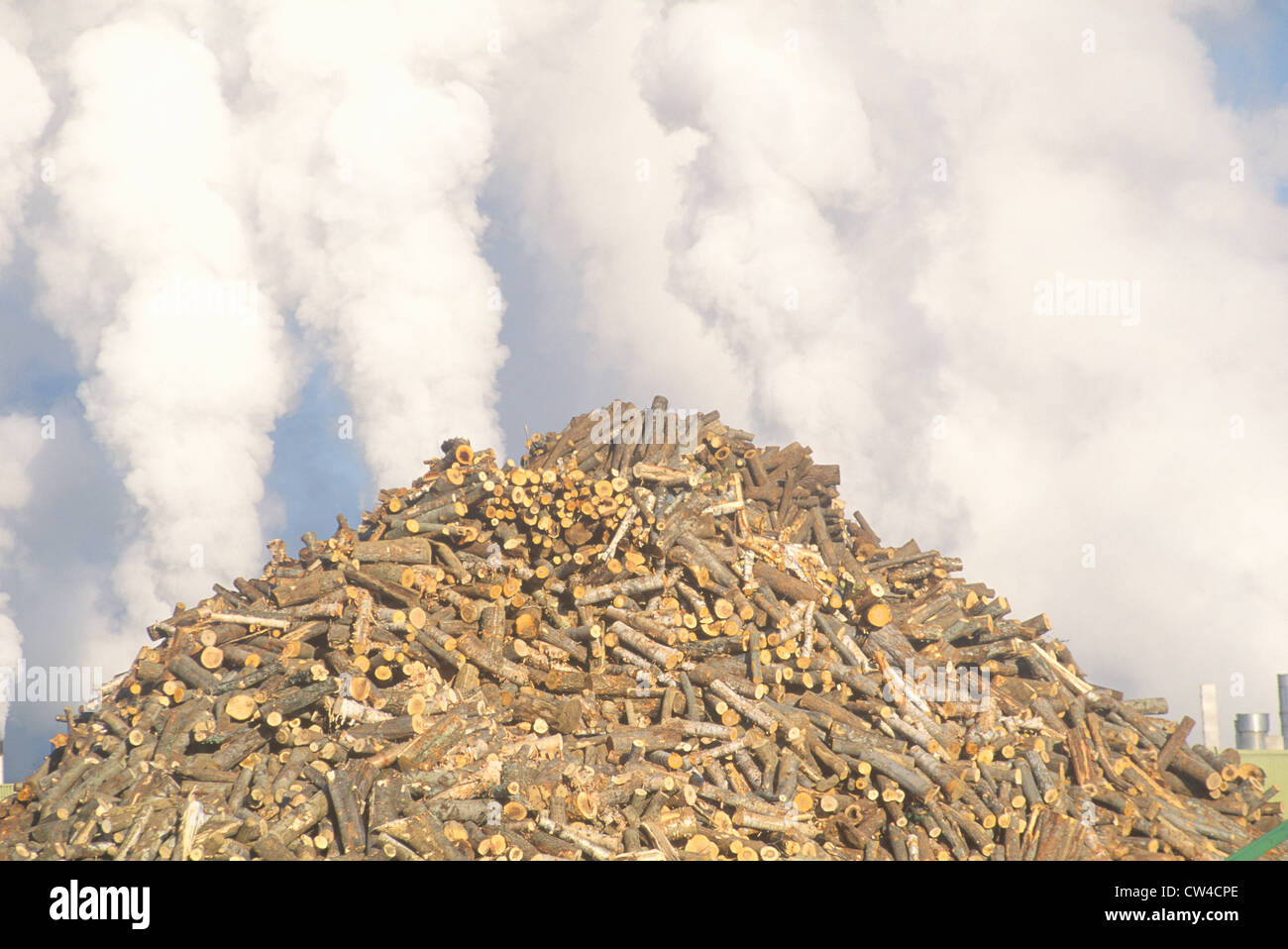 A pile of trees with smoke streaming in the background await milling at ...