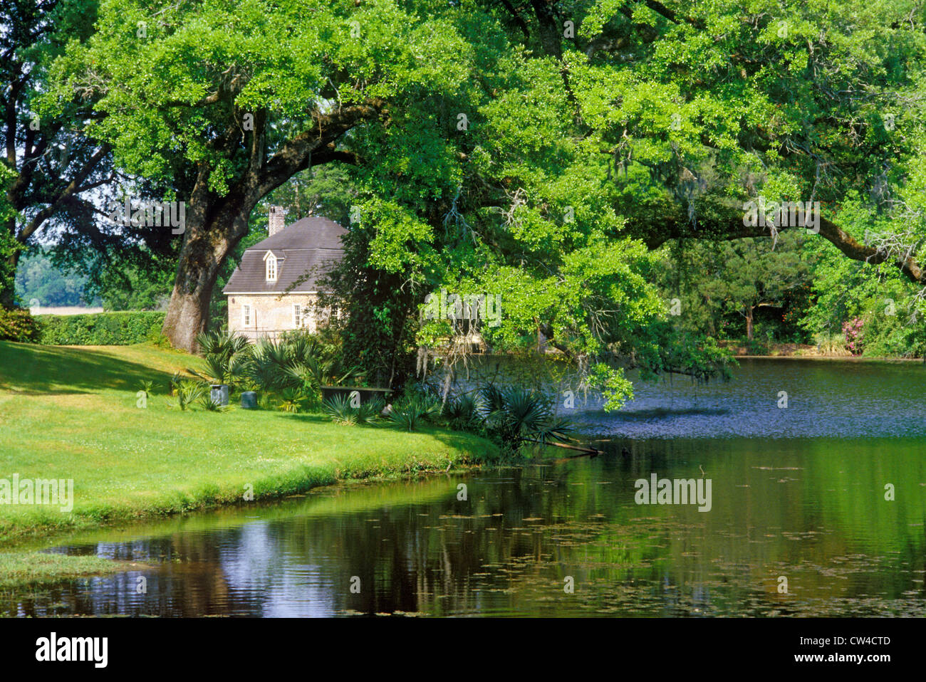 Middleton Place Plantation, Charleston, SC Stock Photo - Alamy