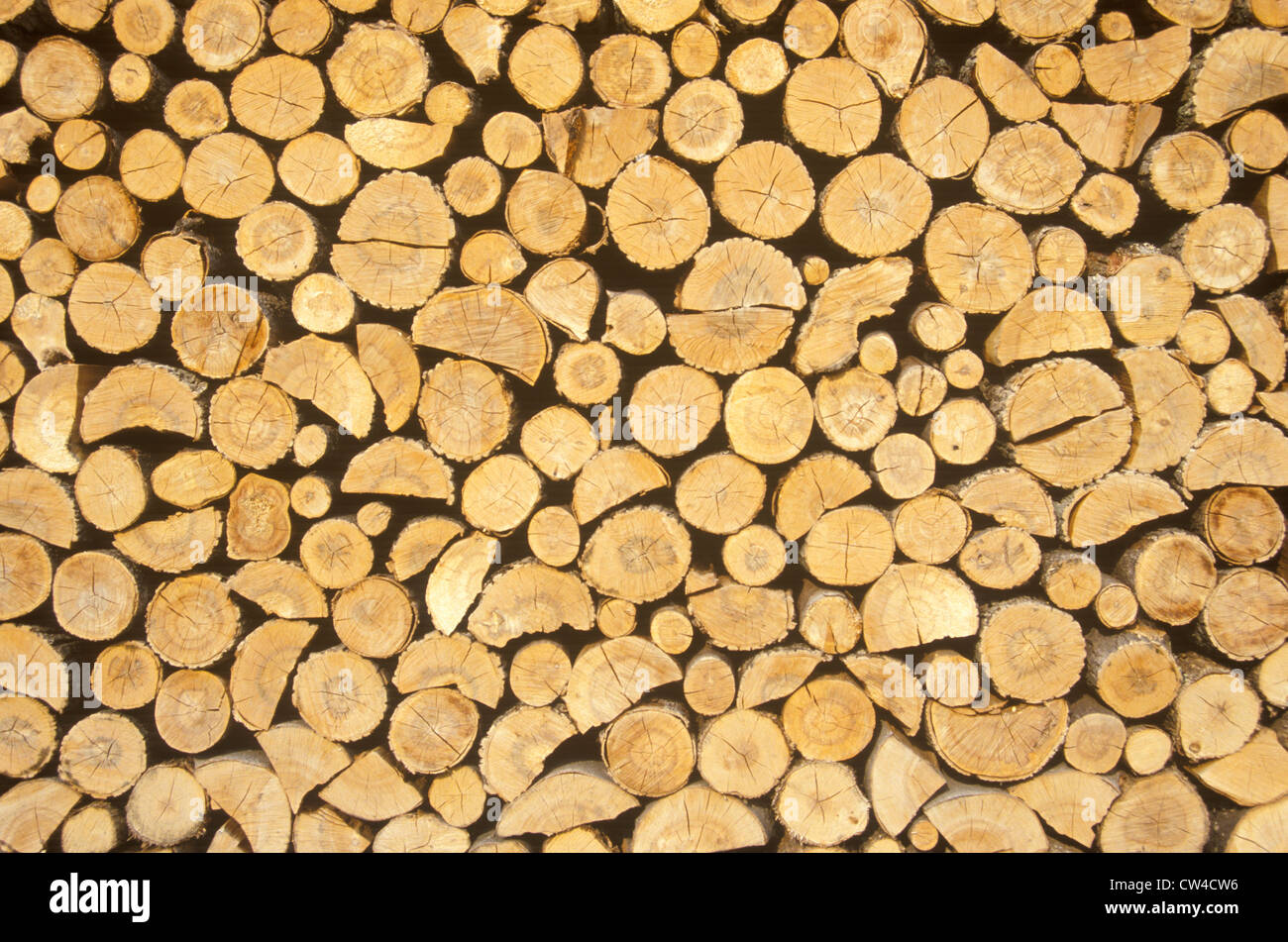 Wood cut for winter Stock Photo - Alamy