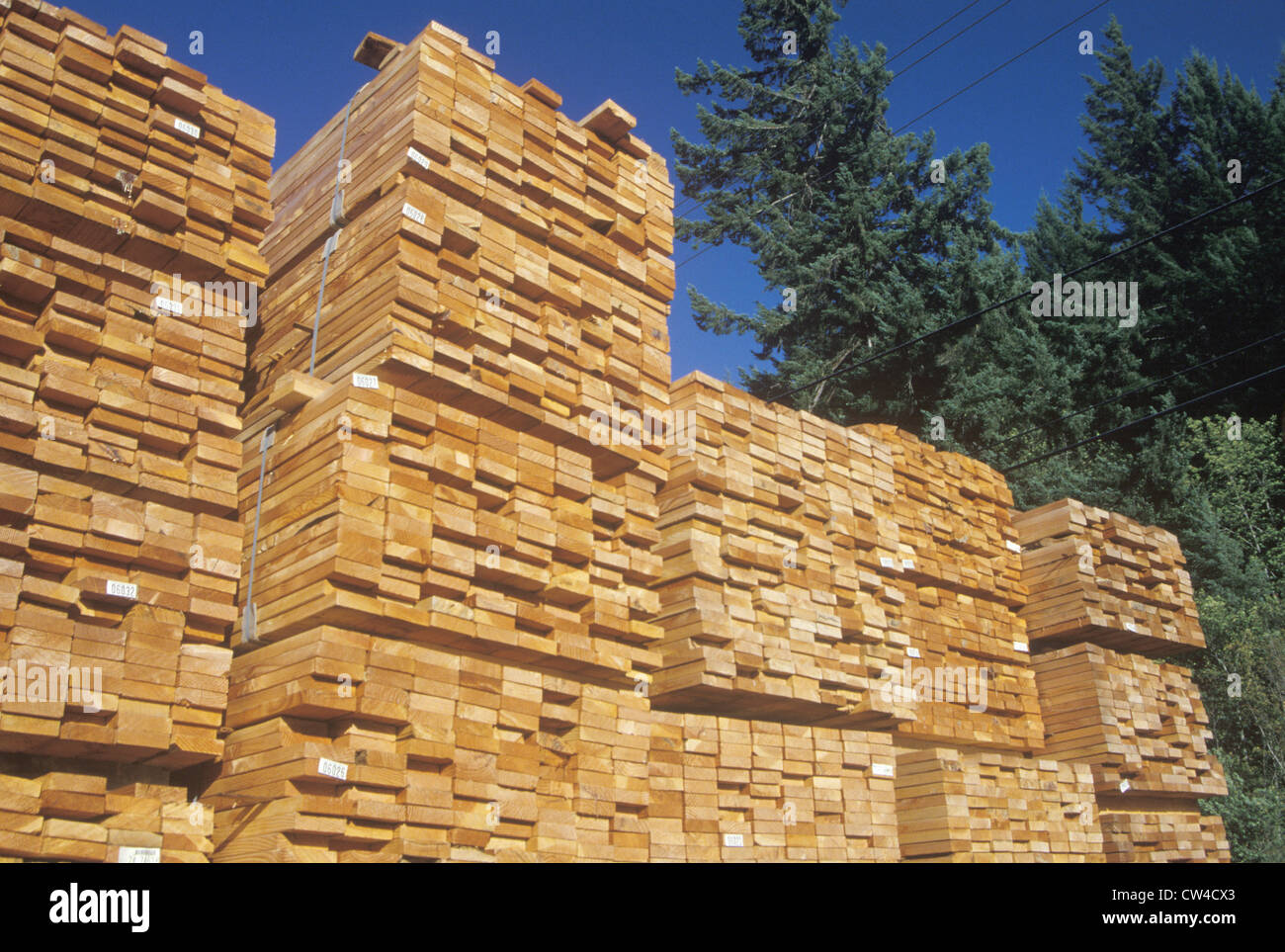 Cut lumber neatly stacked at a lumber yard in Willits, California Stock ...