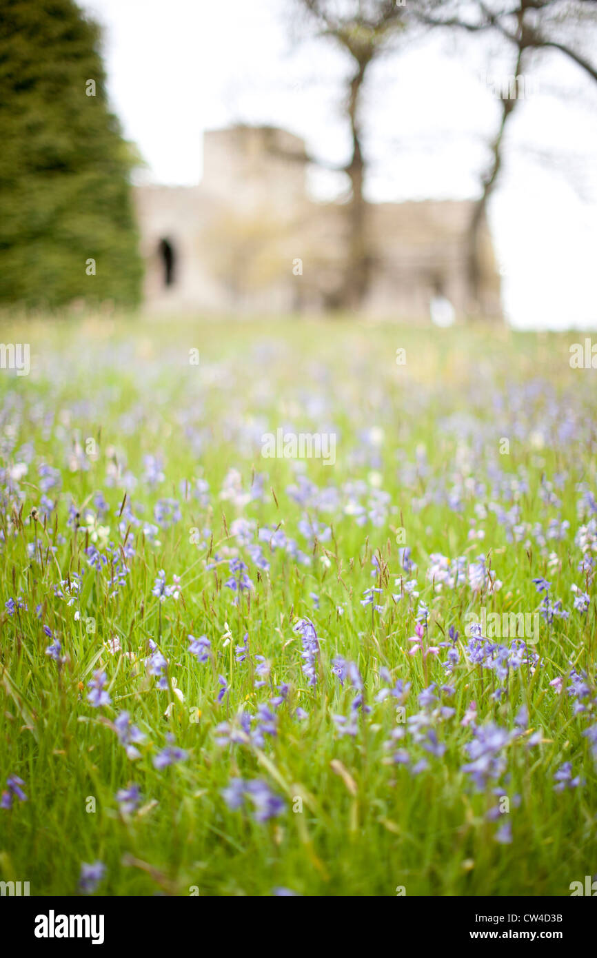 Blue and purple church hi-res stock photography and images - Alamy