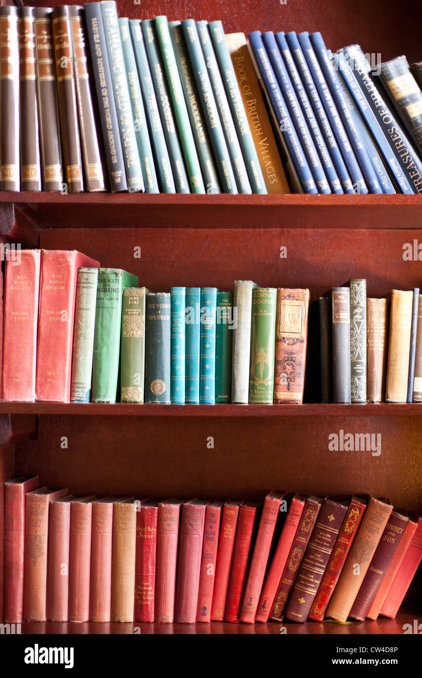 Books on bookcase Stock Photo - Alamy