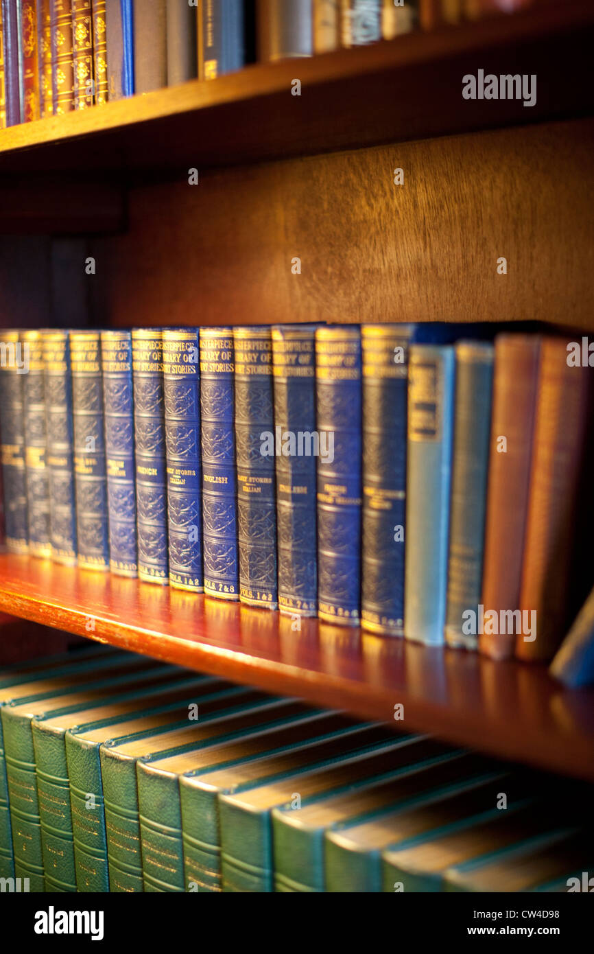 Books on bookcase Stock Photo - Alamy