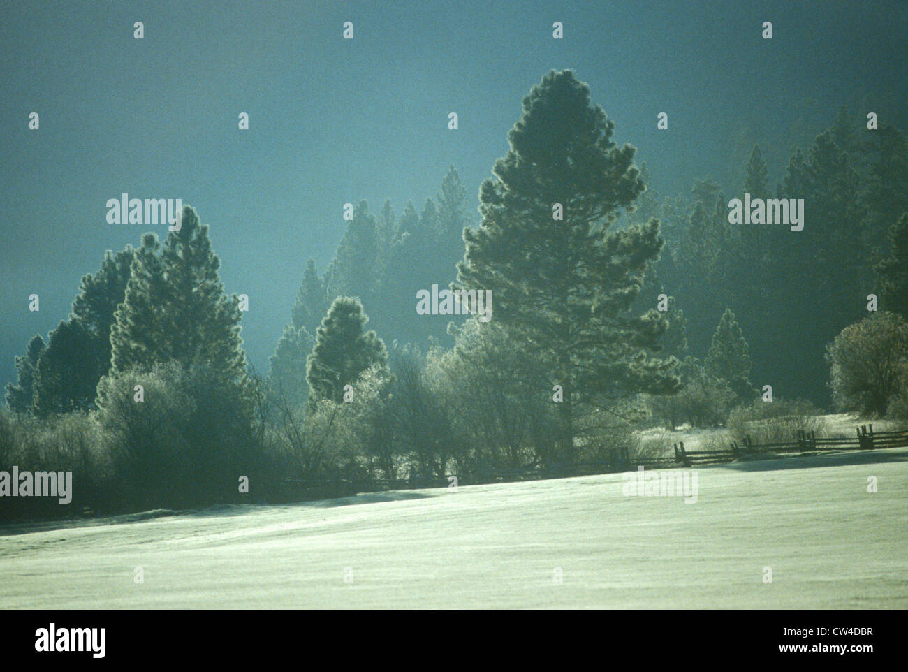 Serene snowscape hi-res stock photography and images - Alamy