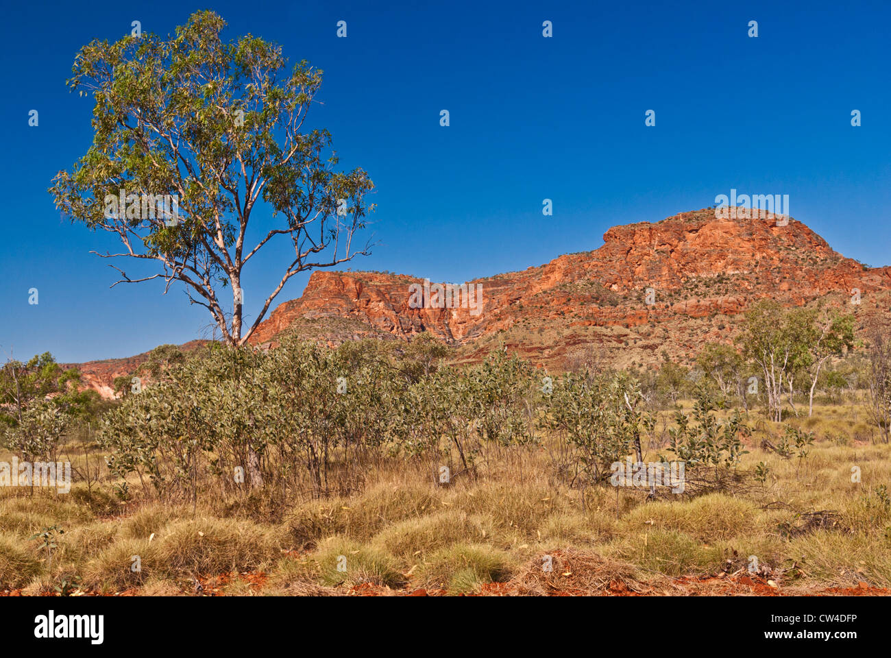 BUNGLE BUNGLE RANGE, PURNULULU NATIONAL PARK, WESTERN AUSTRALIA ...