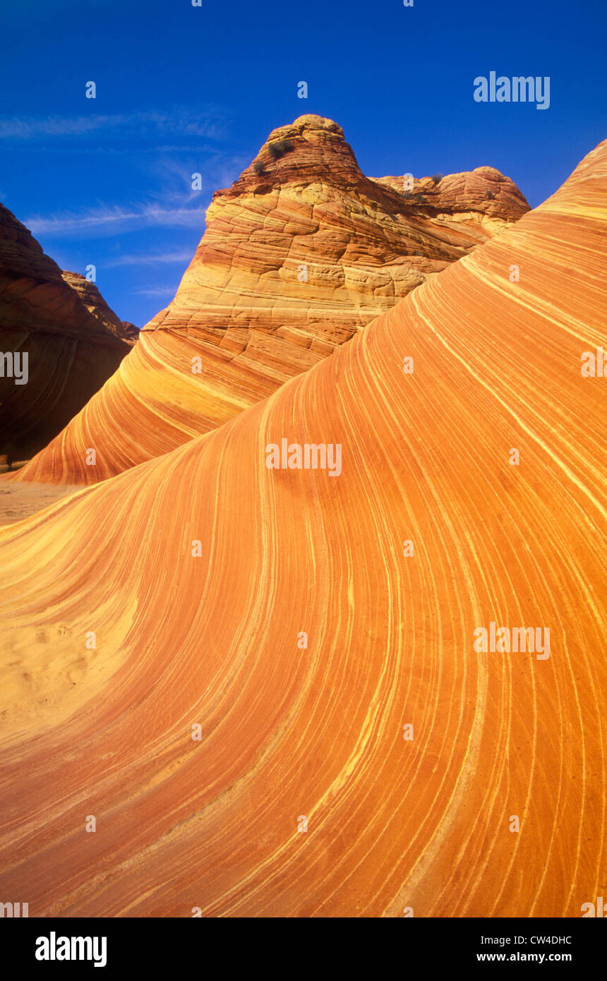 Close up of sandstone stripes, 'The Wave' on Kenab Coyote Butte, BLM ...