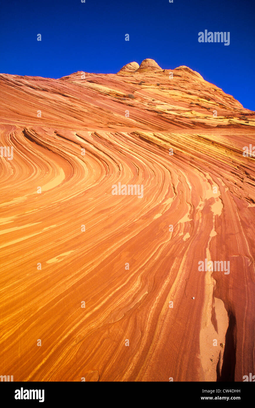 Close up of sandstone stripes, 'The Wave' on Kenab Coyote Butte, BLM ...