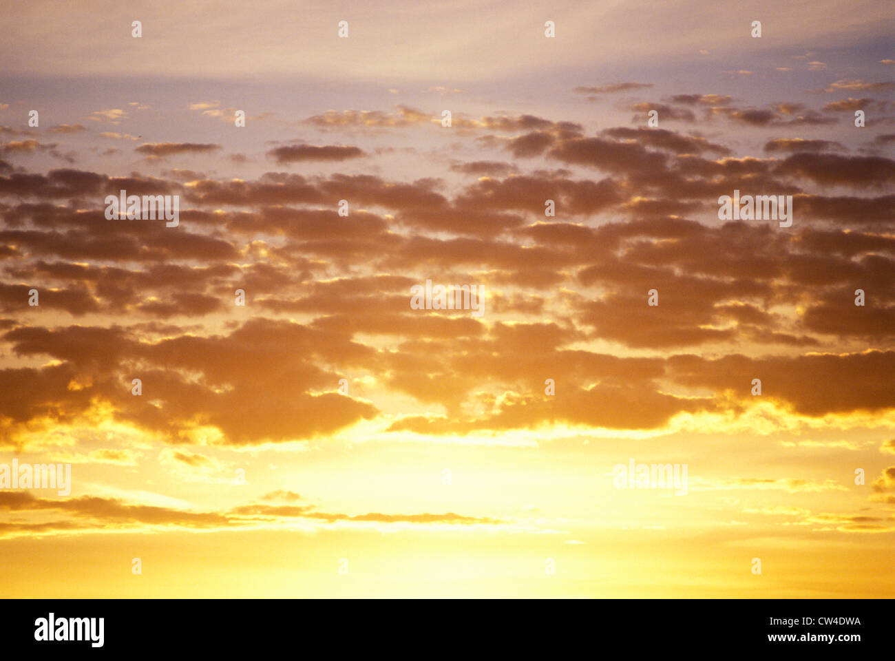 Clouds puffy sunset hi-res stock photography and images - Alamy