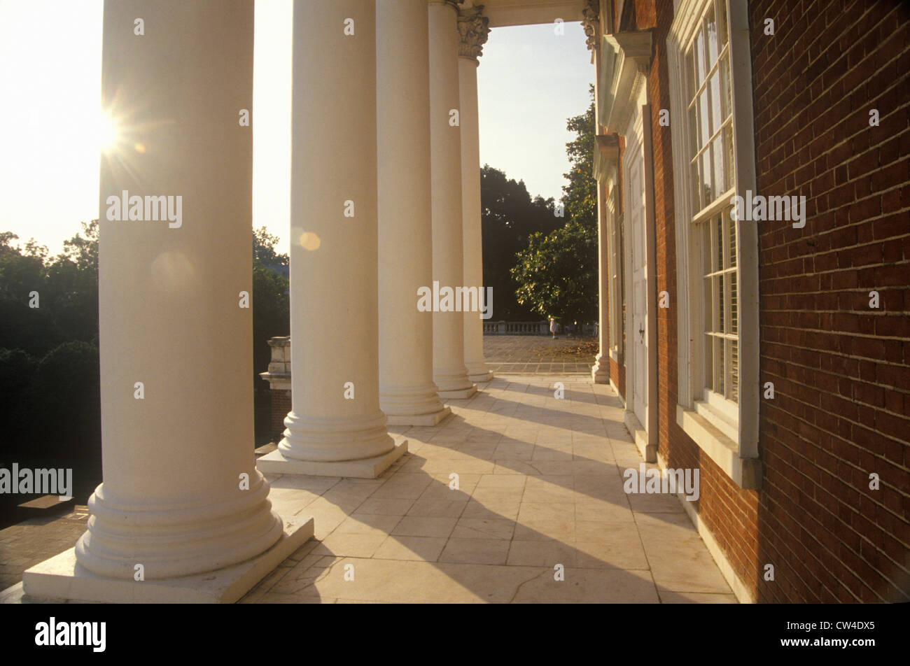 Columns on building at University of Virginia inspired by Thomas ...