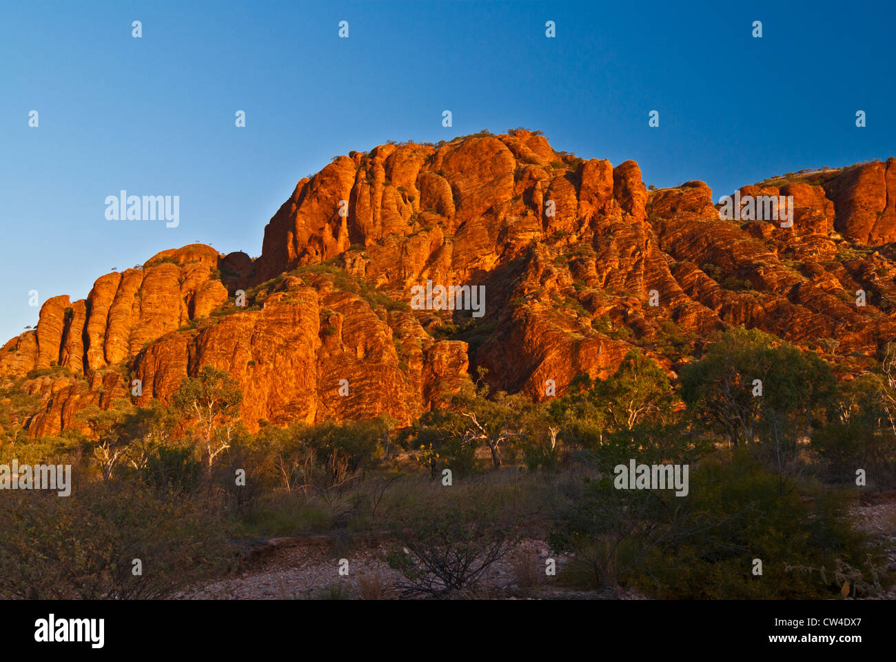 BUNGLE BUNGLE RANGE, PURNULULU NATIONAL PARK, WESTERN AUSTRALIA ...