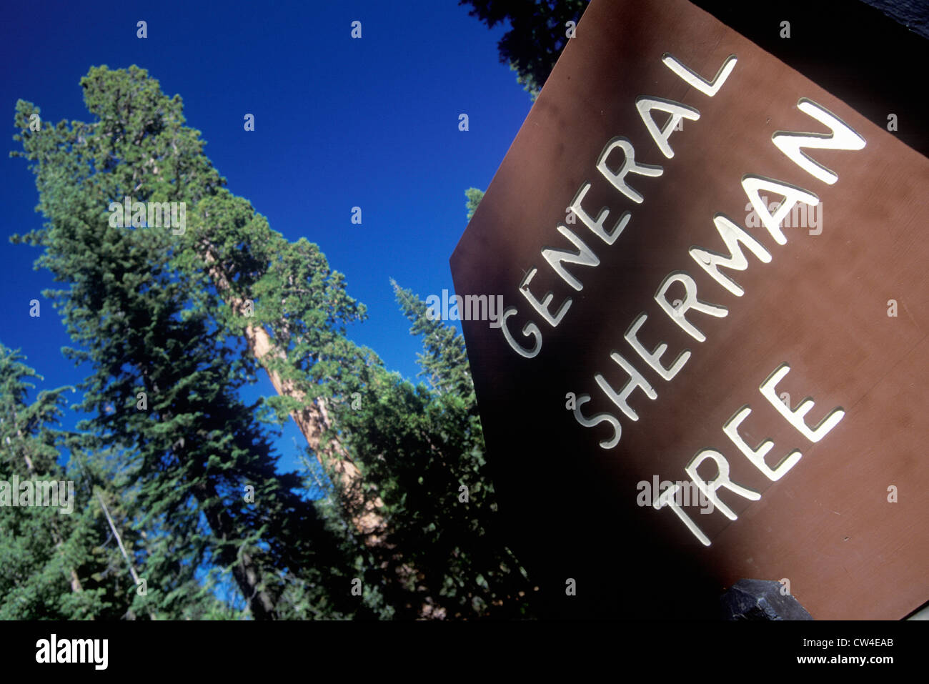 Sign for General Sherman Tree, Sequoia National Park, California Stock ...