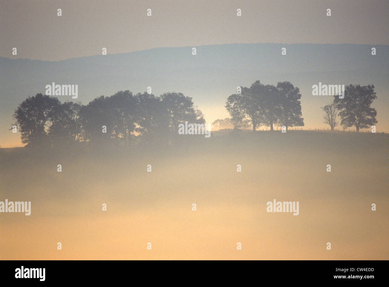Morning fog over Scenic Highway US Route 219, WV Stock Photo - Alamy