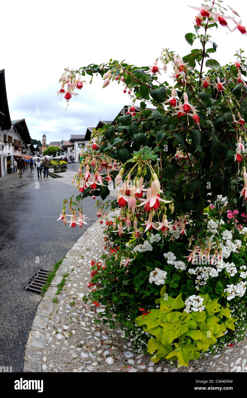 Wet and damp street after a rain shower in Mittenwald, Germany Stock ...