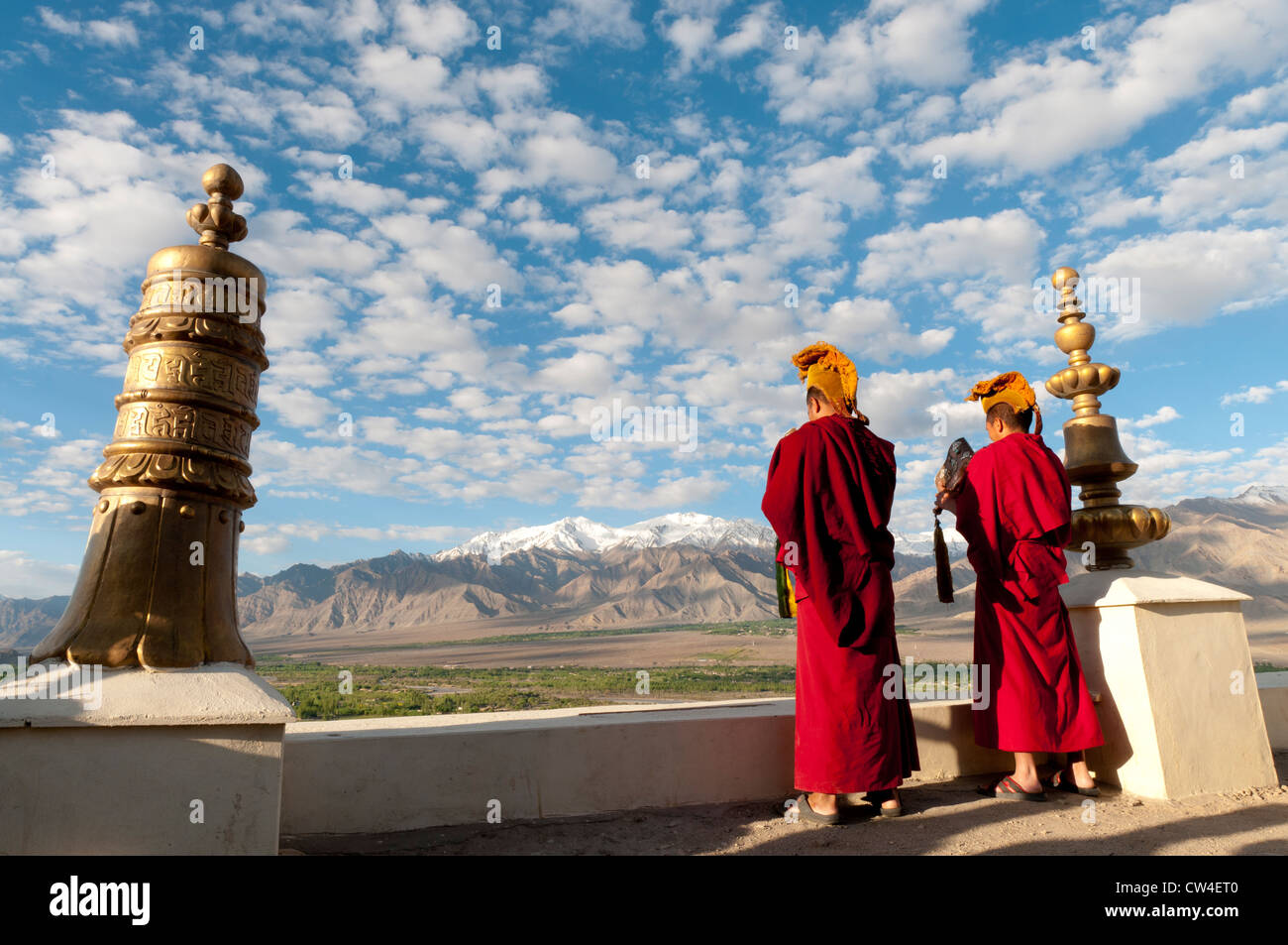 Conch shell india hi-res stock photography and images - Alamy