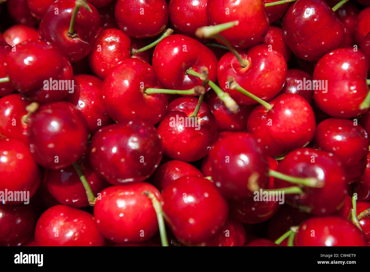 Delicious Market Fresh Cherry's Stock Photo - Alamy