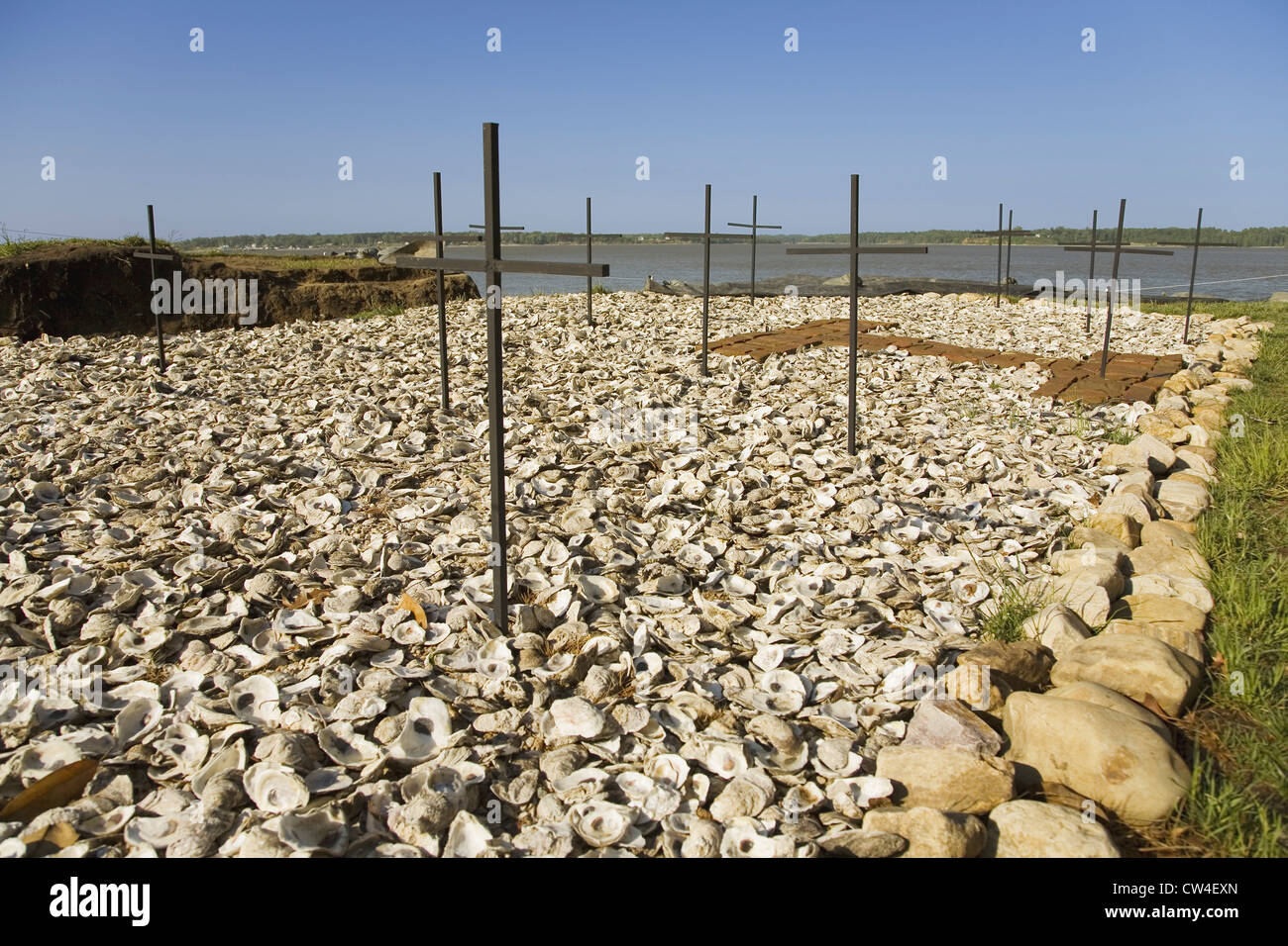 Recently excavated burial spot original Jamestown residents James Fort ...