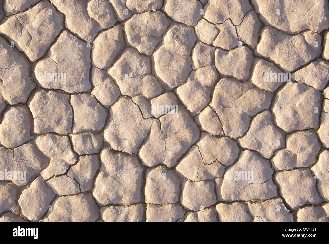 Dry Lake Bed, Death Valley, California Stock Photo - Alamy