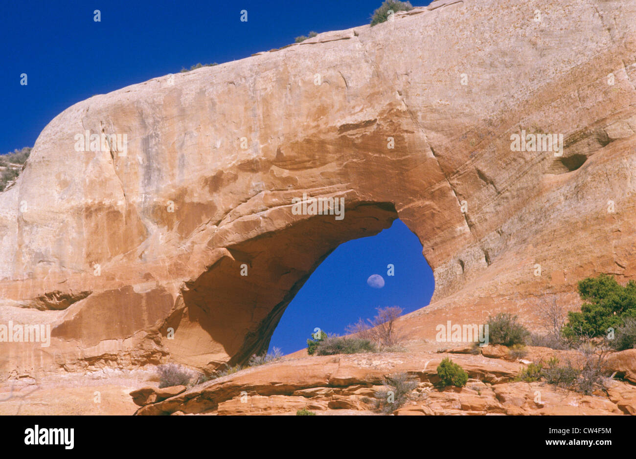 Moon seen through rock formation hi-res stock photography and images ...